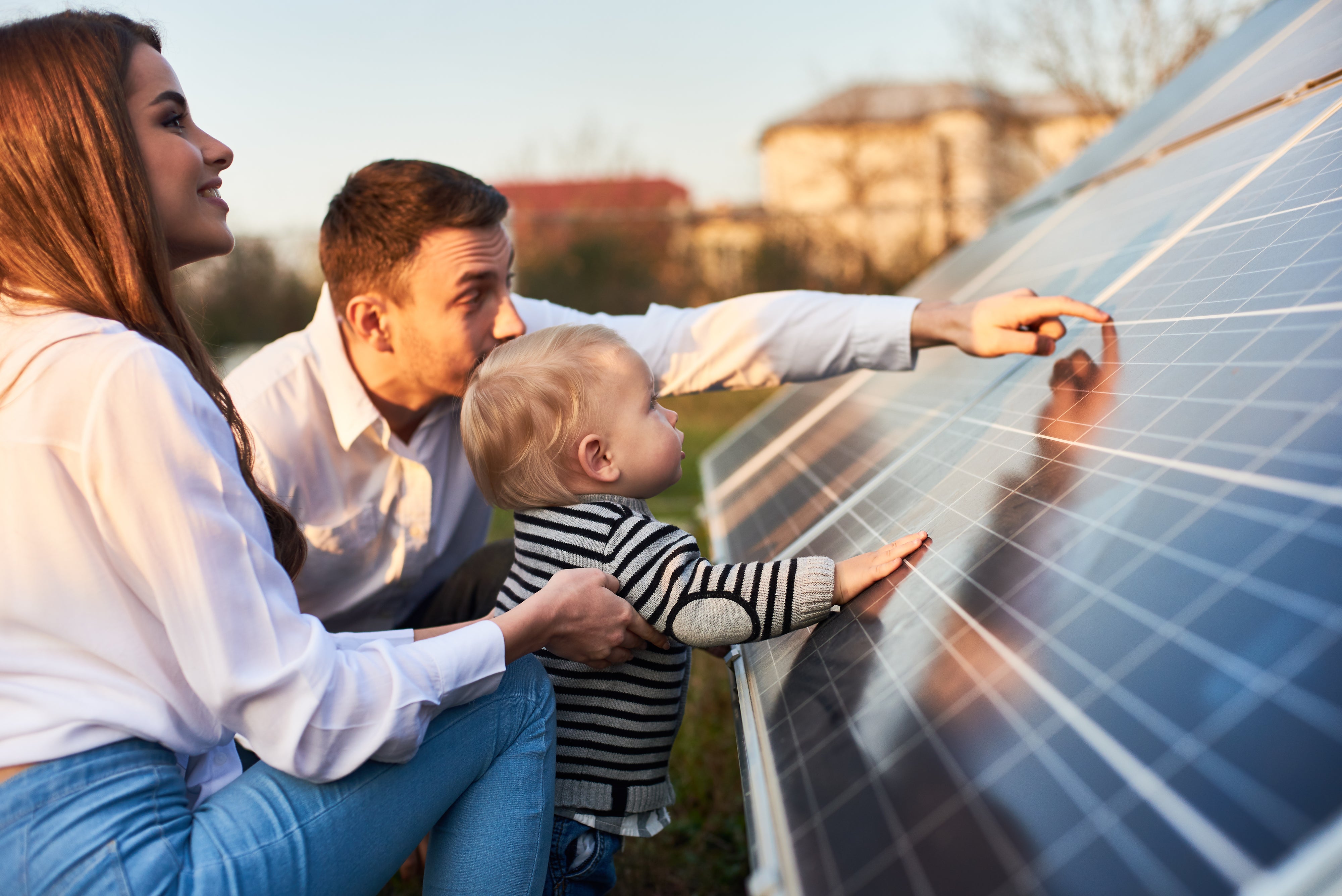 Solar & Battery Information Guide – Key Insights — BlueE Technology